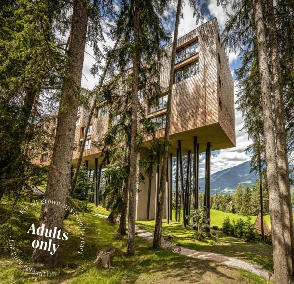 My Arbor - Dolomites - Lüsen