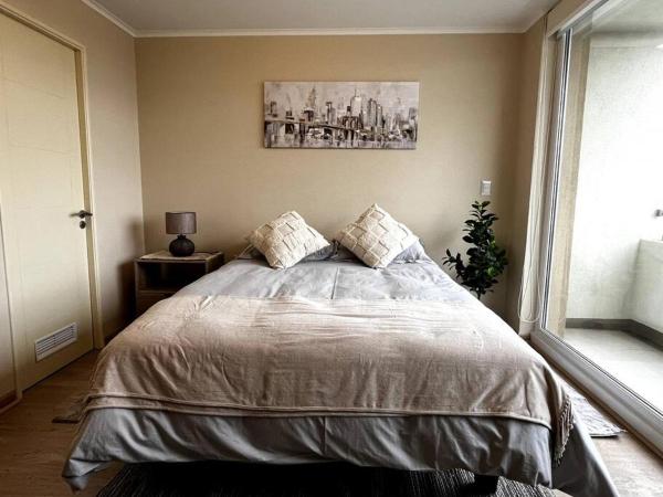 Departamento Mono - Ambiente - Chile