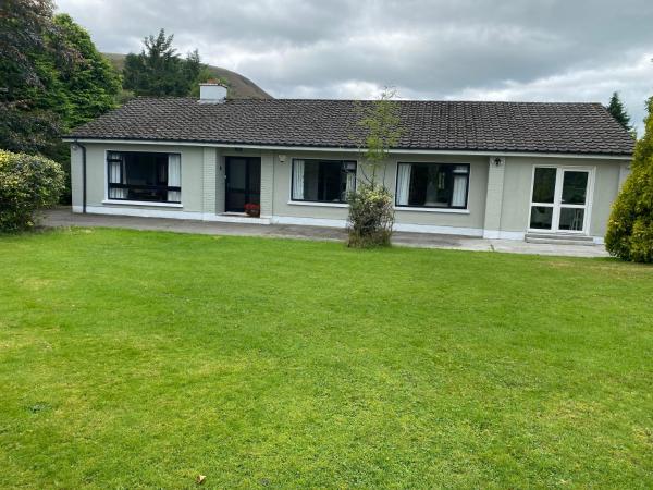 The Orchid - Irlande