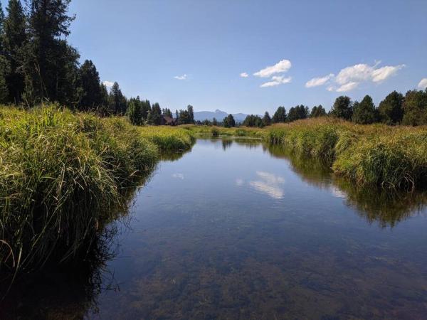 Wild Woods - Cascades Riverside Retreat - Odell Lake, OR