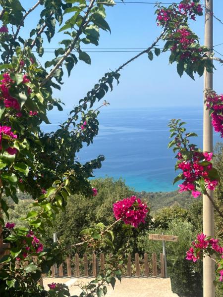 Evita's House - Albania