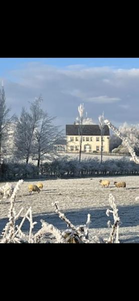 Arney Lodge Farm - Omagh