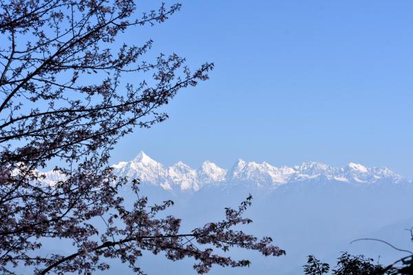 Misty Mountains Jhaltola - Uttarakhand