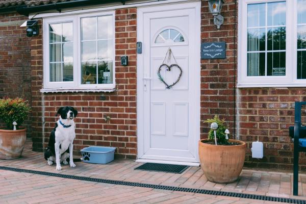 New Inn Lodge In Scarning Near Dereham Norfolk England - Dereham