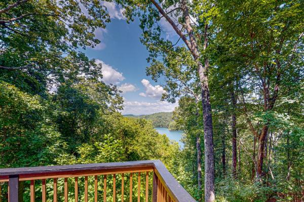 Lakeview Hideaway - Carters Lake, GA