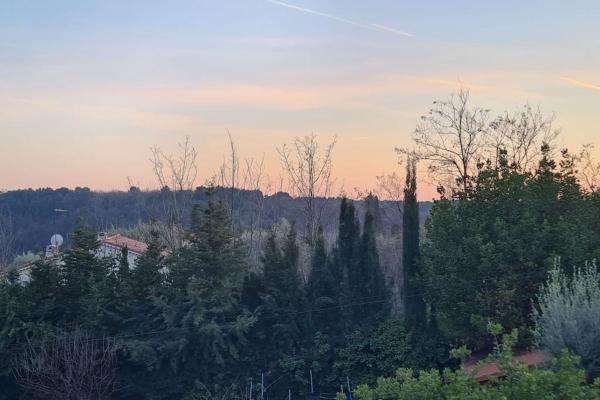 Logement Neuf Au Calme Avec Jardin - Vence