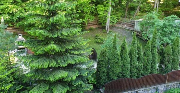 George Apartament Central Cu Gradina Proprie - Sinaia