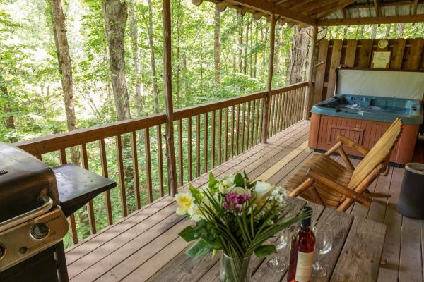 Creekside Cabin Hot Tub Near Wineries Sleeps 4 - Dahlonega, GA