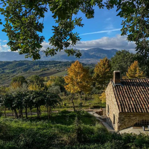 Tenuta Santojanni - Irpinia - Bagnoli Irpino