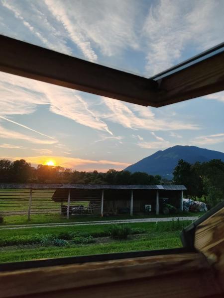 Apartment Katja - Bohinj