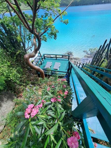 Sailfish Villa Luxury Beachfront 2br On Magens Bay - U.S. Virgin Islands