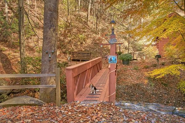 Bear Creek Holiday Home - 