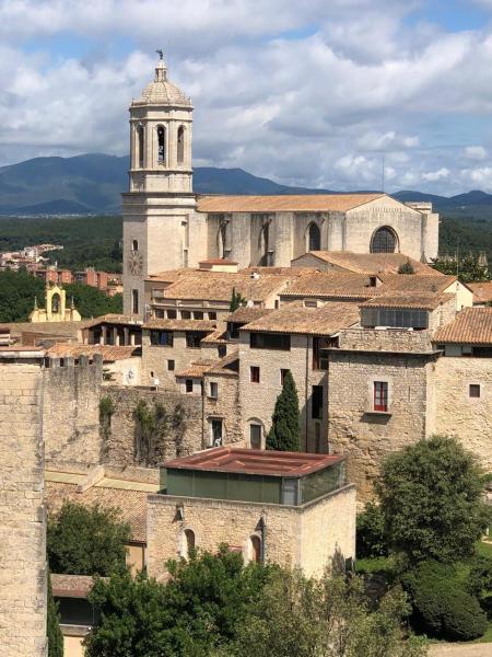 As Palau Dels Alemanys Suites Boutique Monument - Girona