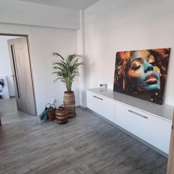 Central View Apartment - Deva