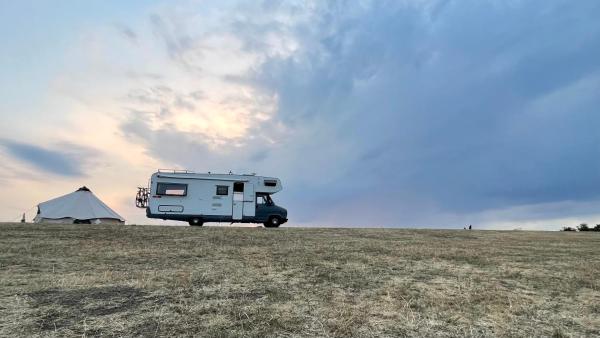 Surfer Mammut - Ipswich