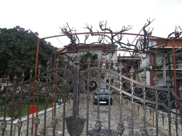 Apartments In Rovinj/istrien 11580 - Rovinj