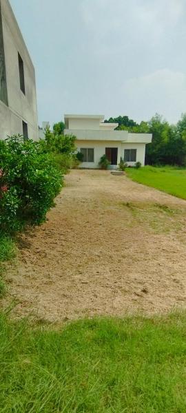 Peace Farm - Punjab