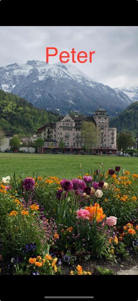 Apartment Peter - Wengen BE