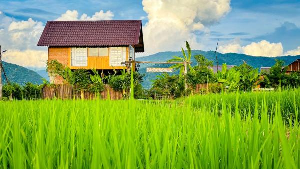Deetorjai Farmstay Nan ดีต่อใจ ฟาร์มสเตย์ น่าน โดยเจ้าของ - Chiang Klang District