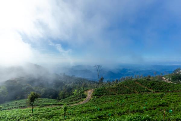 Leisure Mount Villa - Sri Lanka