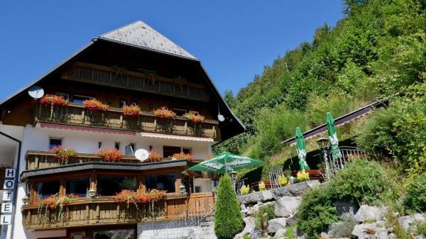 Hotel Silberfelsen - Titisee-Neustadt
