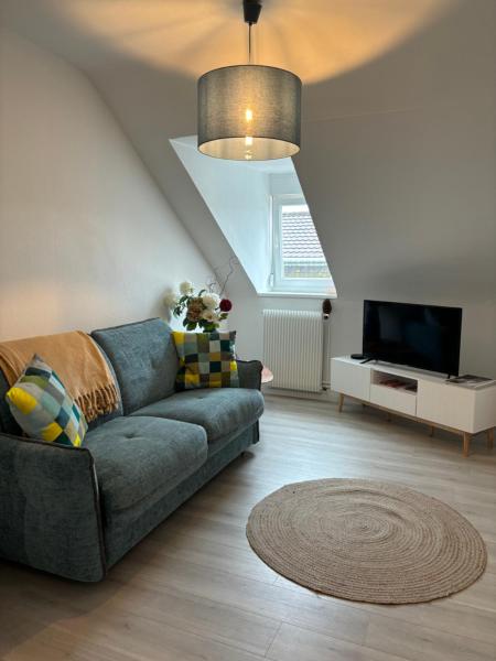 La Mulhousienne F3 Centre Ville - Alsace