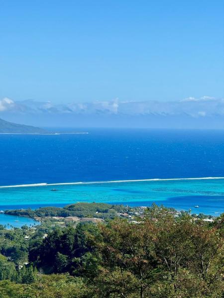 Logement Cosy Avec Piscine Et Vue Tahiti Punaauia - タヒチ島
