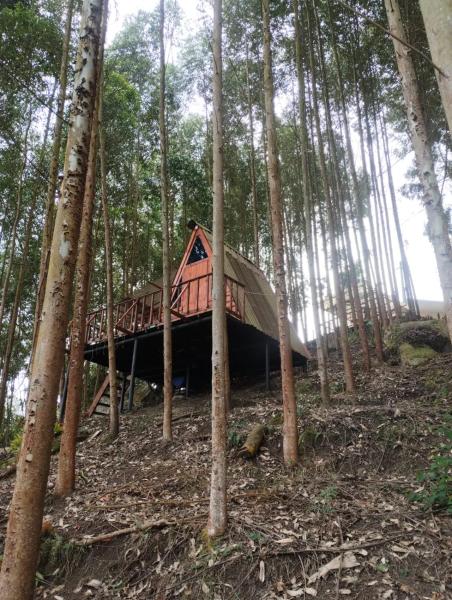Glamping Entrepinos - La Mesa