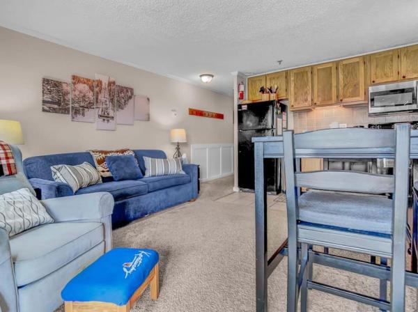 Ml115 Lovely Slope Side Getaway Wifi Parking Next To Village - Virginia Occidental