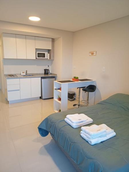 Monoambiente Amoblado - Centenario