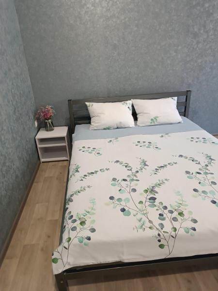 Две уютные квартиры в центре города Дзержинка - New Apartments - Kryvyi Rih