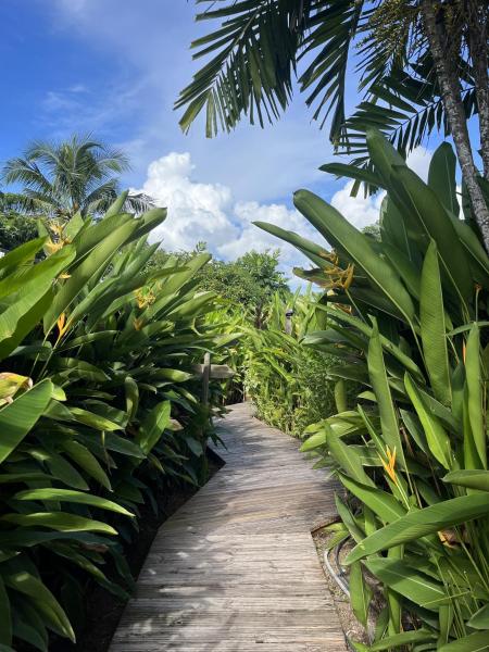 Eden Paradise Spa Ecolodge - Martinique