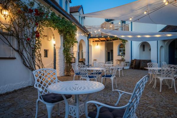 Naturální Vinařství Dvorek - Penzion, Bistro & Wellness - Czech Republic