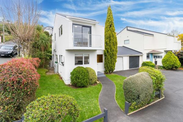 Contemporary Duplex In Roslyn - Dunedin