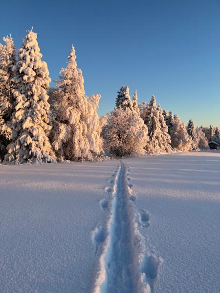 Villa Metsälä - Kuusamo