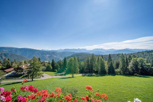 Stücklhof Wohnung Veilchen - Alpe di Siusi