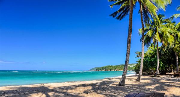 Sun & Smile - Martinique
