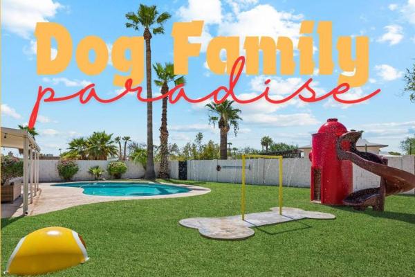Dog Family Paradise - Chandler