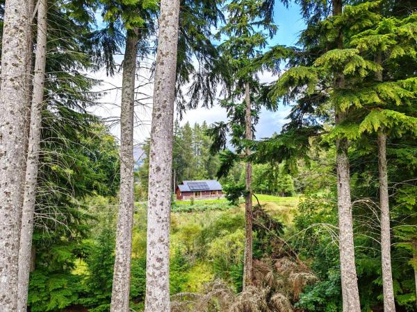 Fersit Log Cottage - Loch Laggan