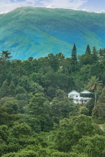 Cozy Cova - Munnar