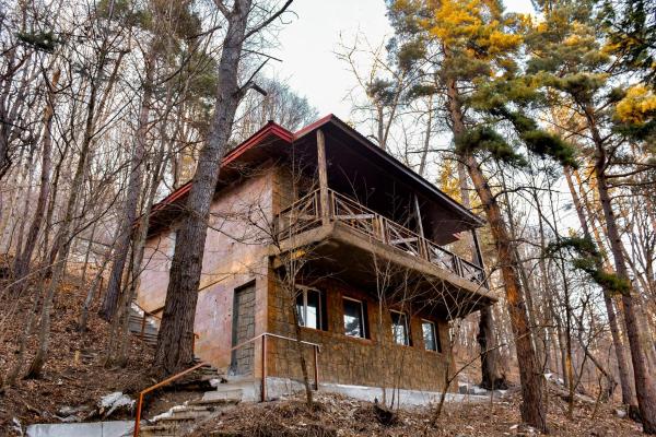 Maestro Rest House Dilijan - Armenia
