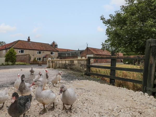 Bellmanear Farm Cottage - Malton