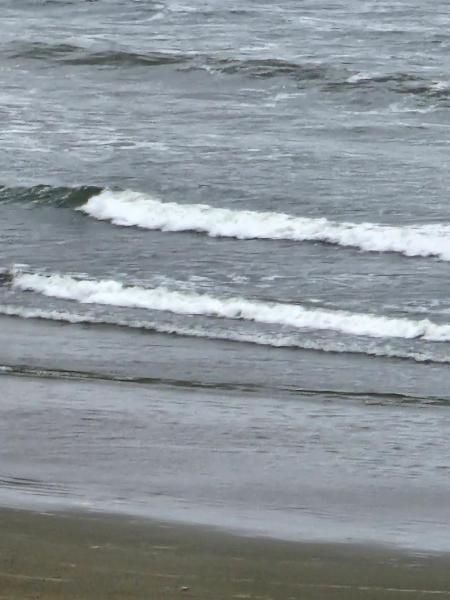 Itararé Um Sonho De Mar - Santos State