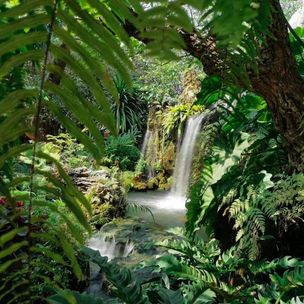 Natural Place - Thailand