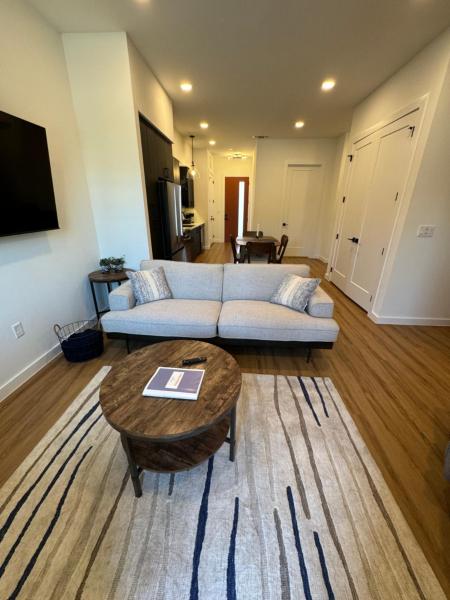 Hip Luxury Condo Getaway- Near Gruene - New Braunfels, TX