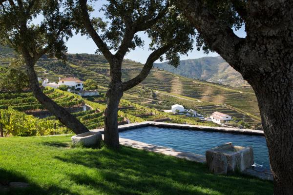 Quinta Da Côrte - Pinhão