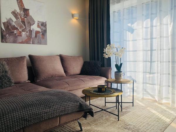 Luxurious Apartment In The Heart Of Old Town With Parking - Kaunas