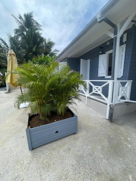 Petit F2 Entièrement Rénové éQuipé En éNergie Solaire Et Citerne D Eau - Guadeloupe