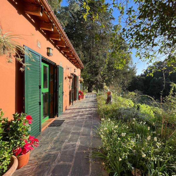 Finca El Lance Zumacal - Moya