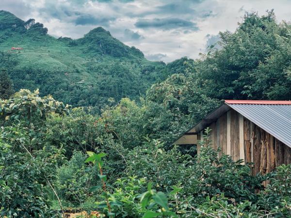 Private House In Sapa Centre & Kitchen - Sa Pa